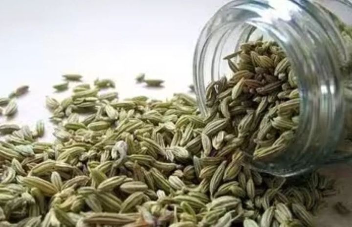 Fennel Seed / pan Mouri - 100 gm | Daraz.com.bd