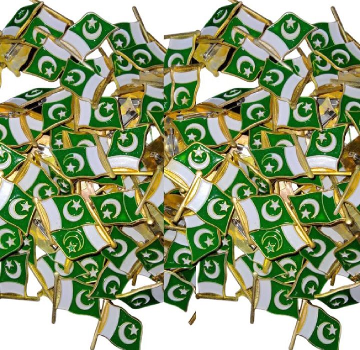 Pack of 24 Metal badge Pakistan flag Badge Pakistan Jhanda badge ...