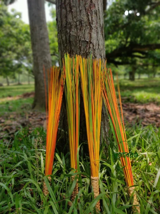 Handmade Multicolor Bamboo Broom 1 Pcs (The RongBerong) | Daraz.com.bd
