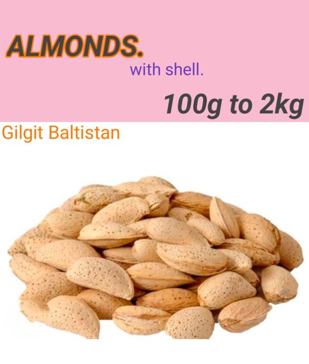 ALMONDS/Badam (with shell) Gilgit Baltistan.High quality and fresh ...