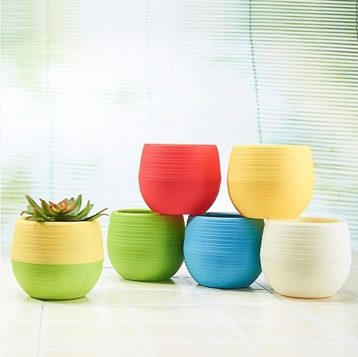 🔥Genuine Big leaves, thick, sunny-rain 100%🔥Large size Bella pot 11 ...