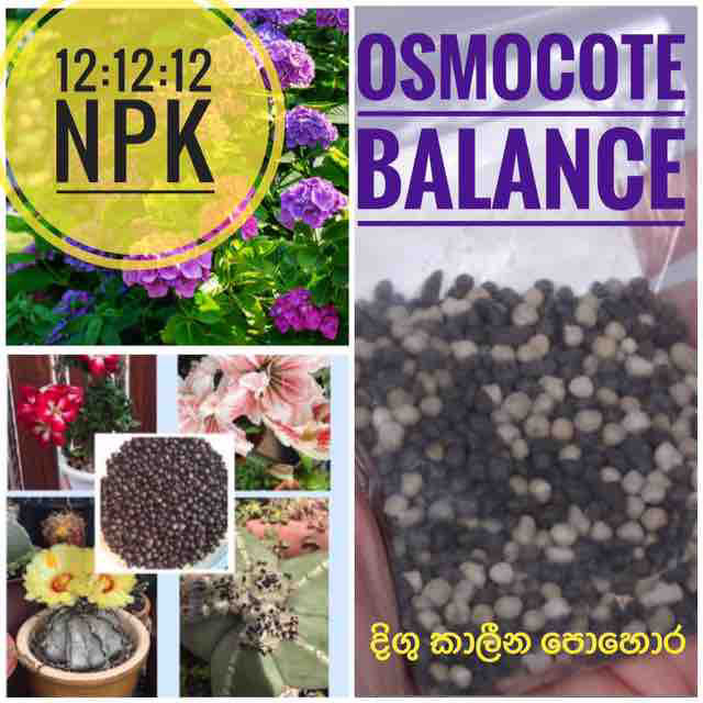 Osmocote Balance 12:12:12 NPK fertilizer 100g | Daraz.lk