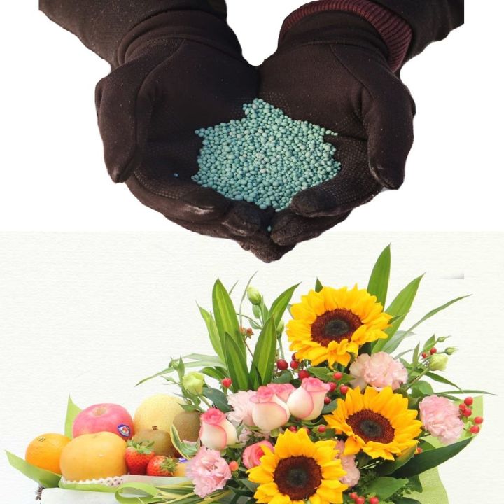 Yaramila complex 500g (12-11-18+ 3Mgo+8S+TE) High quality fertilizer ...