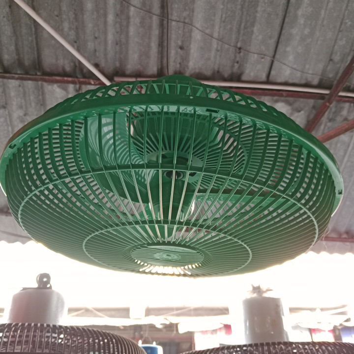 Ceiling net fan | Daraz.com.bd