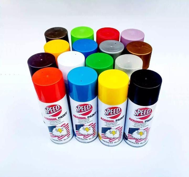 Spray Paints for Paintings and many other purpose.( 300ML 1 Piece Blue ...