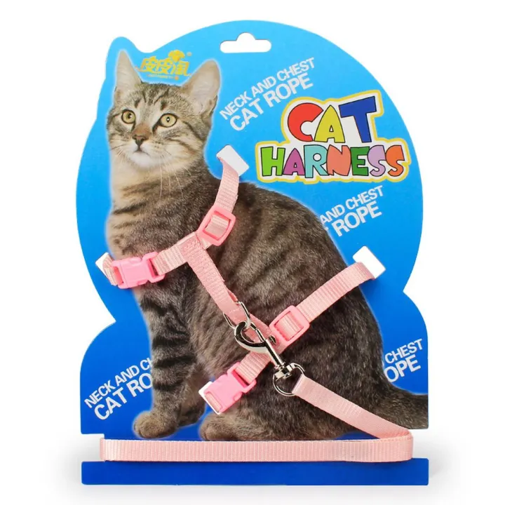 Cat Harness, Adjustable Nylon Strap Collar with Leash, Breakaway Cat ...