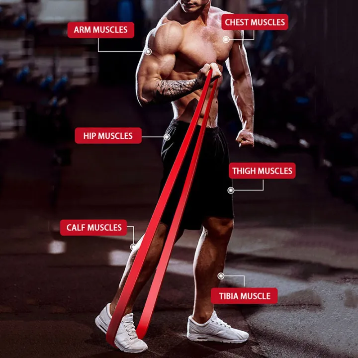 Heavy Duty Resistance Bands 208cm Long Exercise Bands for Pull Up ...