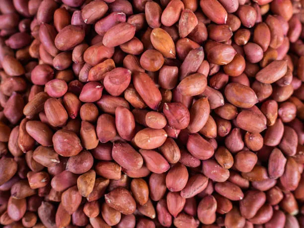 Red Skin Peanut Unroasted & Unsalted | Premium Quality Kachchi ...