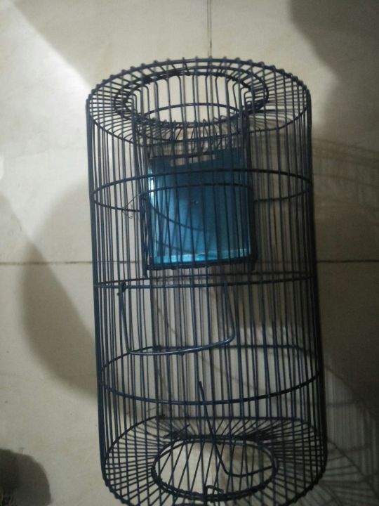 Rat cage Trap Human Rat trap high quality Cage for rats | Daraz.pk
