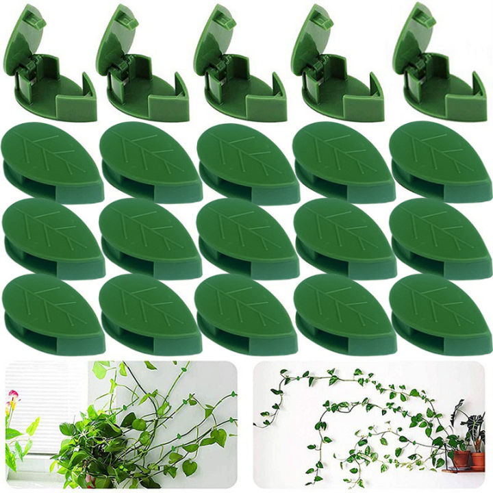 Plant Climbing Wall Fixture Rattan Vine Bracket Fixed Buckle Leaf Clips ...