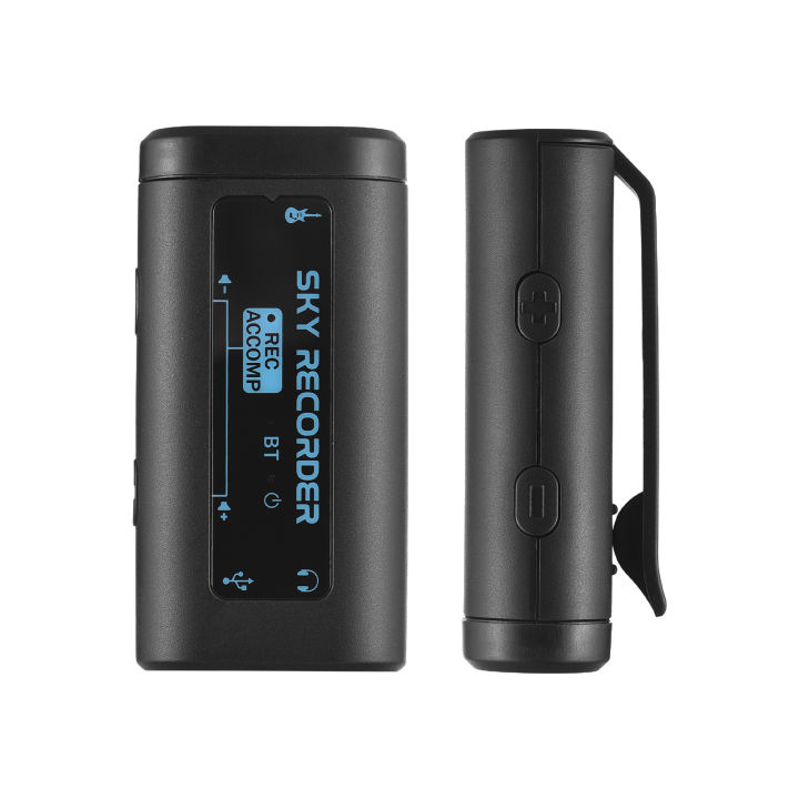 Portable Audio Interface - BT Accompaniment & Type-C Powered, Mini ...