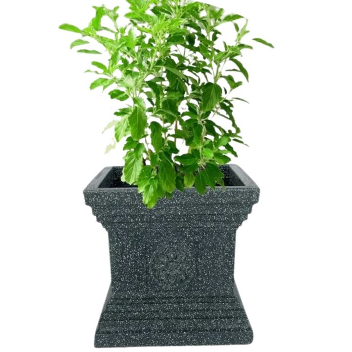 Fiber Made Tulsi Pot 12 Inch Height For Indoor Decor | Daraz.com.np