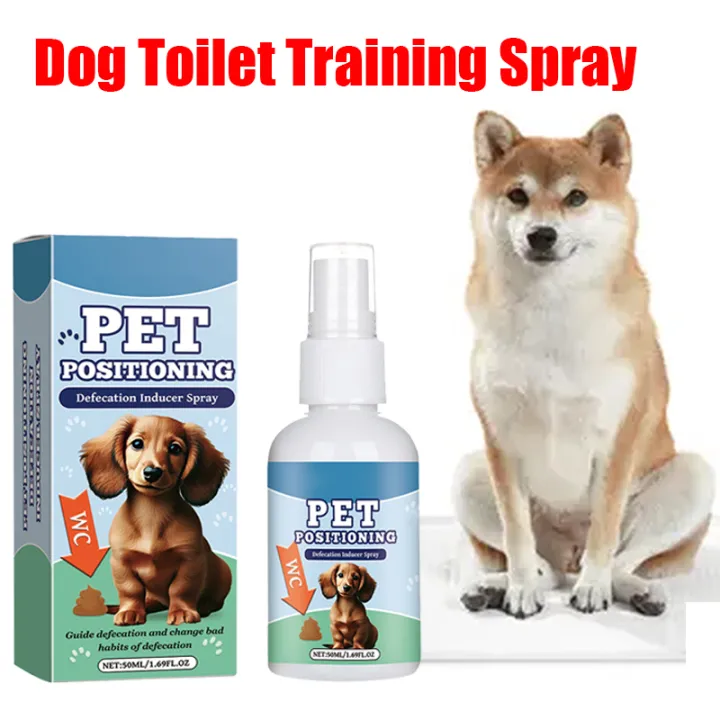 Dog Toilet Training Spray Dog Potty Training Spray Cats Kitten Outdoor ...