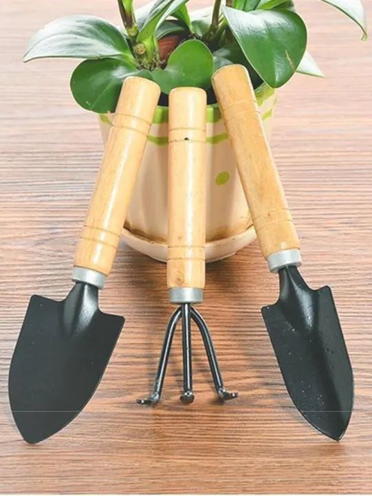 3 in 1 Garden Tool Combo Trowel And Fork | Daraz.com.np