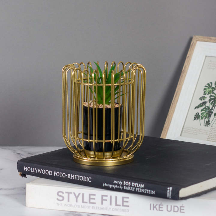 Metal Cage With Ceramic Vase | Daraz.com.bd