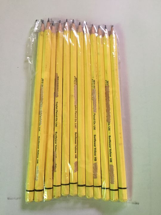 Writing Pencil For Kids 24pcs | Daraz.pk