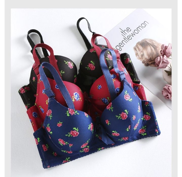 2piece tissue printed soft padded push up bra multi colour for womens ...