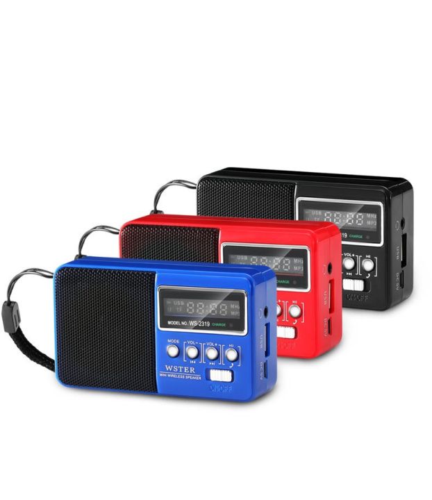 WSTER WS-2319 Wireless Bluetooth Built-In FM Radio | Daraz.com.np