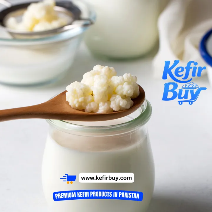 Active Milk Kefir Grain | Daraz.pk