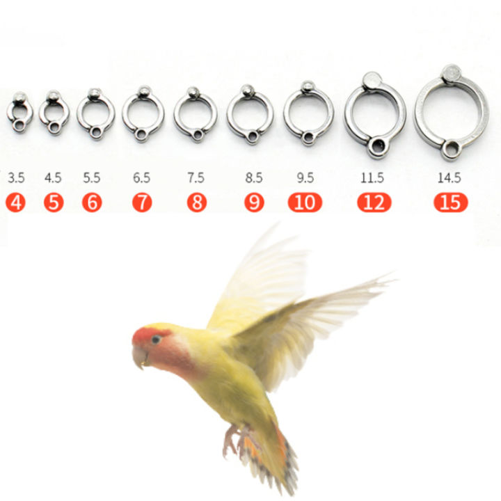 3.5mm-14.5mm Parrot Leg Ring Bird Flying Rope Foot Ring Outdoor ...
