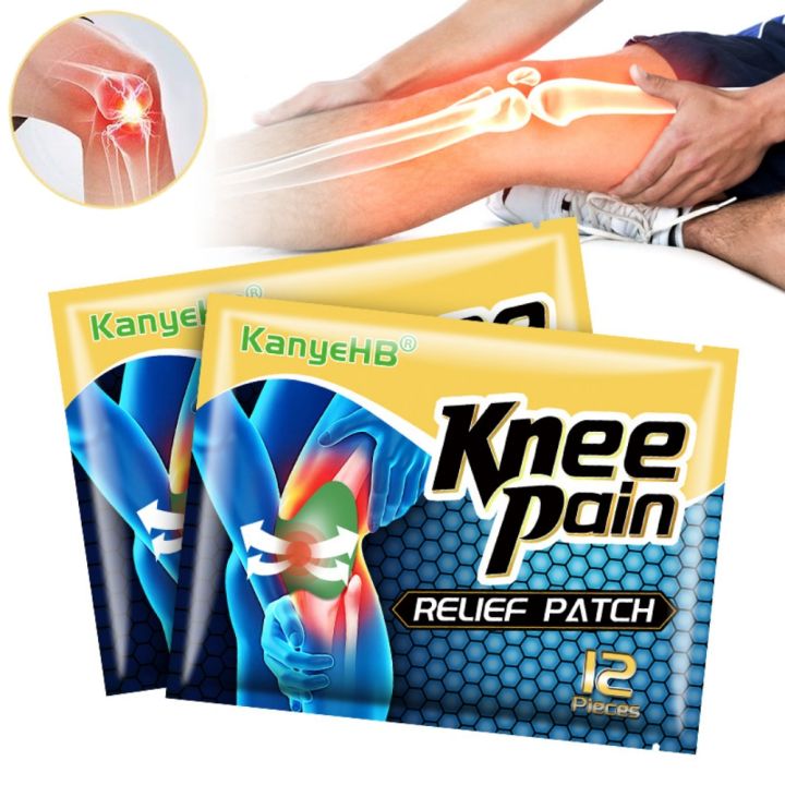 24/12Pcs Knee Joint Pain Relief Patch Chinese Herbal Medical Plaster ...
