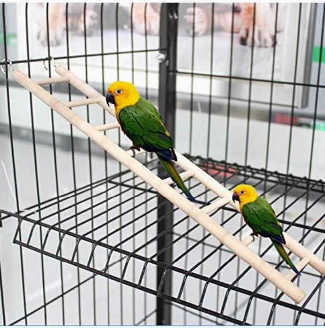 Bird Toys Ladder | Daraz.lk: Buy Online at Best Prices in Srilanka ...