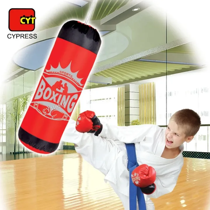 Boxing Toys For Kids Play And Fun Exercises Punching Bag | Daraz.com.np