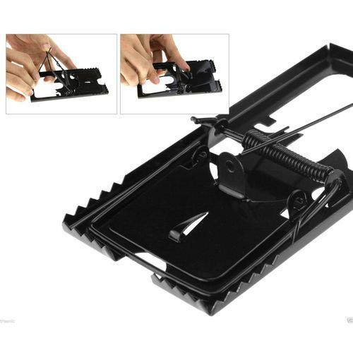 Heavy Duty Snap Mouse Trap rat trap mouse hunt | Daraz.lk