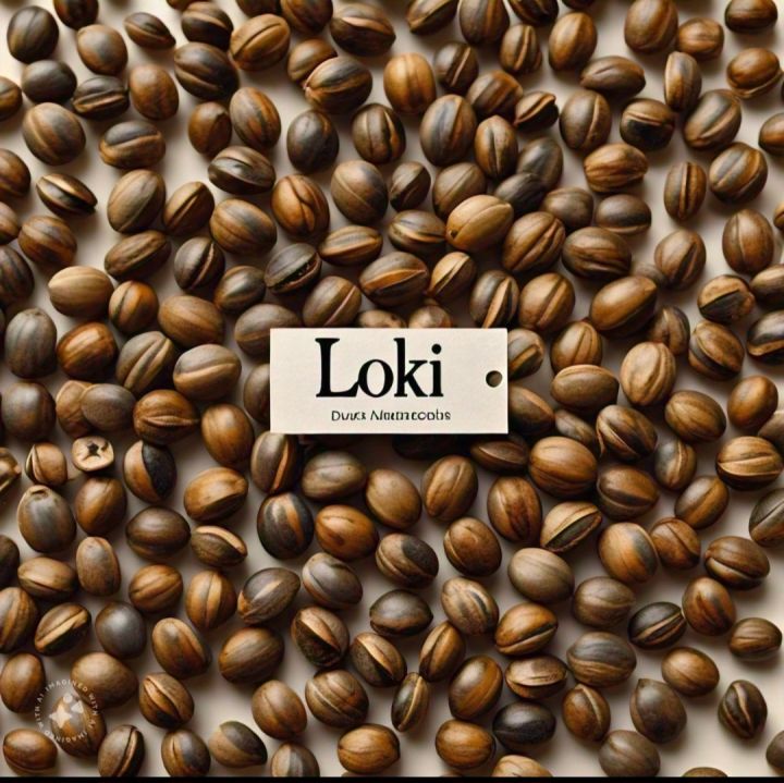 Hybrid Loki Seeds/Sediano Loki Seeds/Open Pollinated Loki Seeds/Semi ...