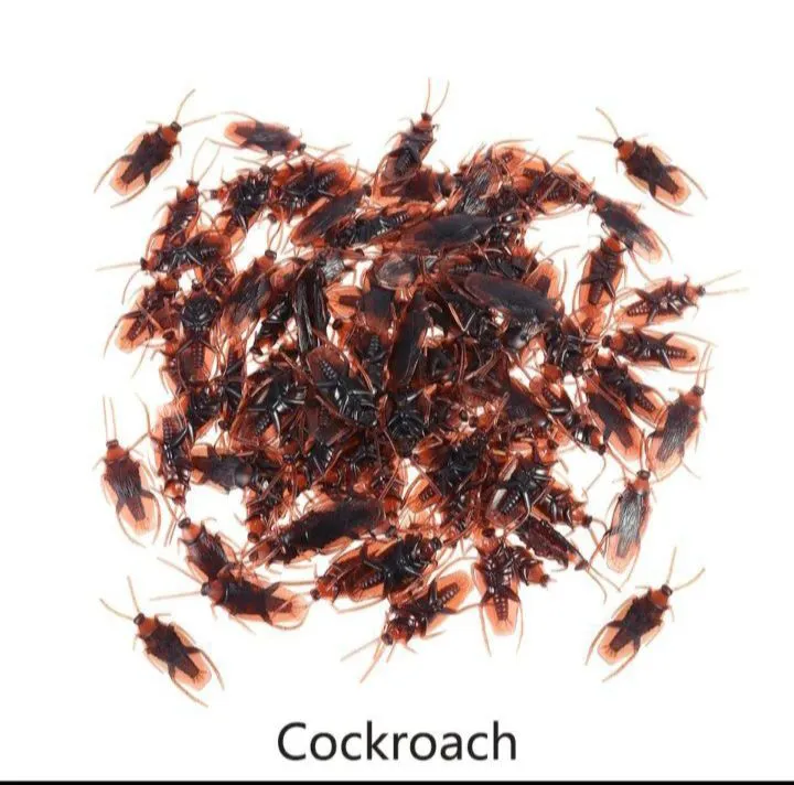 5,10,,15pcs Fake Roaches Pranks Toys Cockroach Trick Prop Scary Insects ...