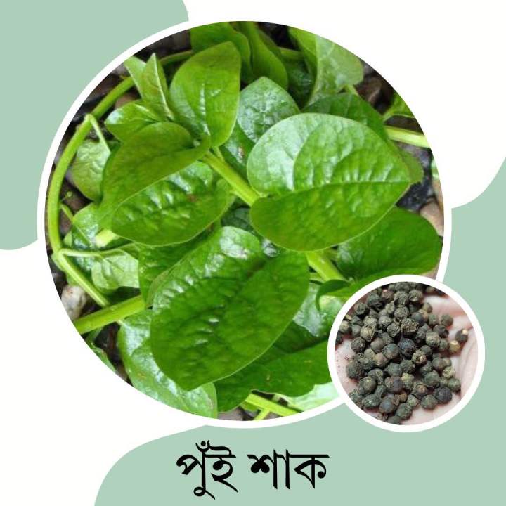 Pui Shak Seed -50+ seed ( all Season ) | Daraz.com.bd