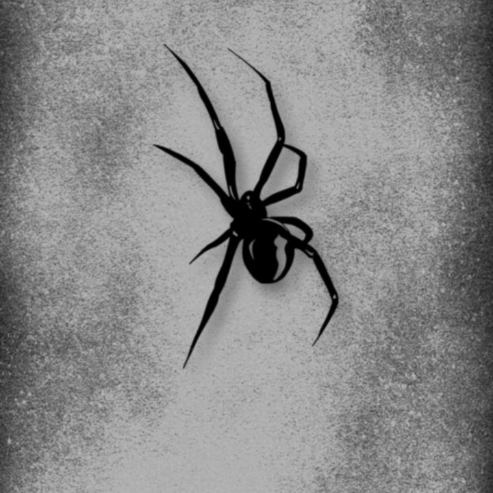 Spider Motorcycle Stickers Waterproof DIY Motorbike Side Panels Fuel ...