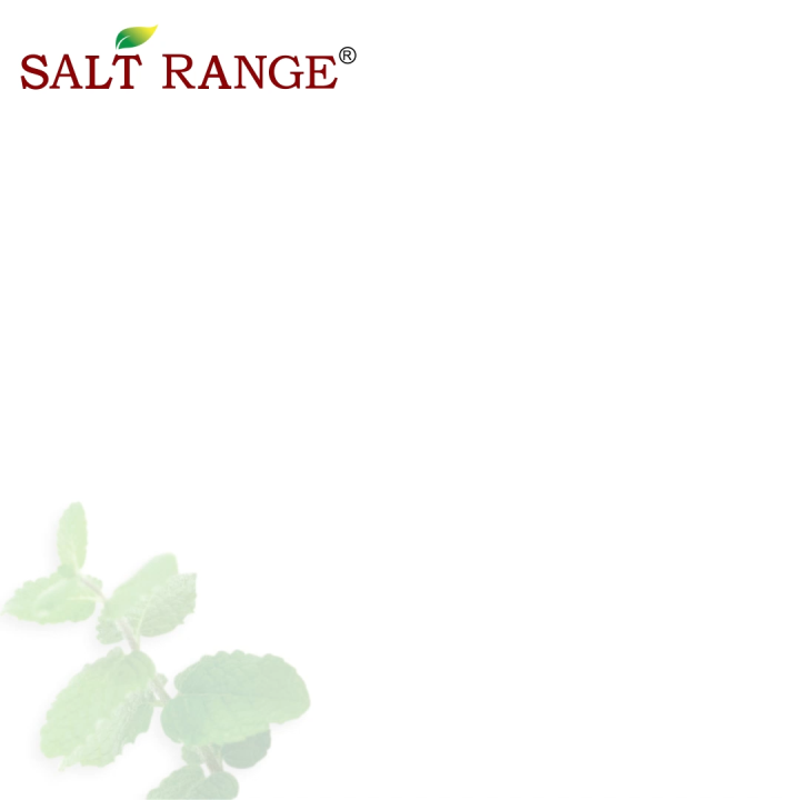 𝐖𝐁𝐌 - Salt Range Pink Salt Nasal Inhaler, Cooling and Refreshing ...