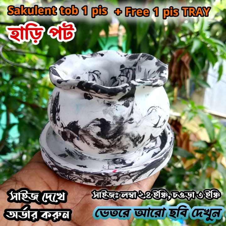 New hari design cactus tob Sakulent tob showpiece 1 pis + gift | Daraz ...