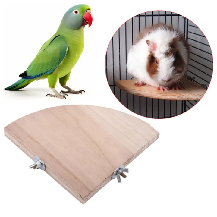 Bird Perch Tool 5" inches Corner Bird Accessories | Daraz.com.bd