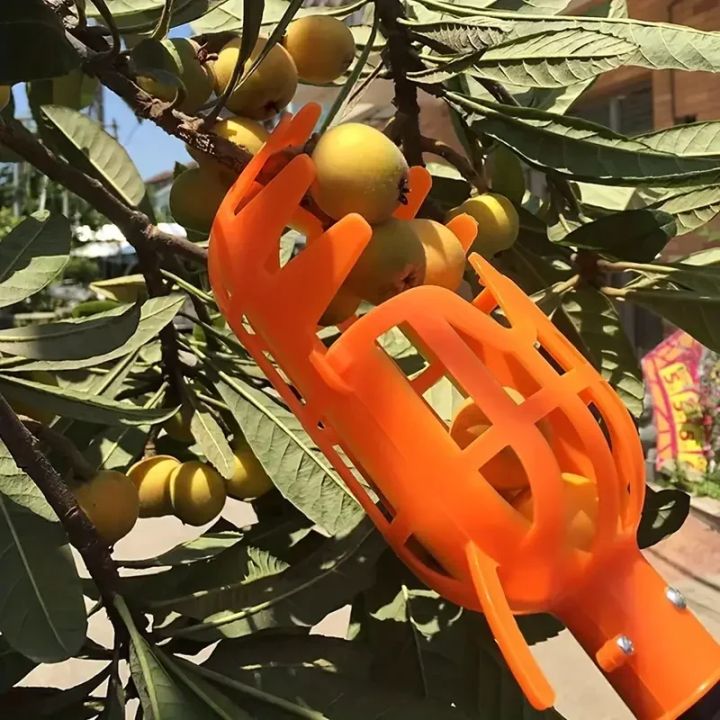 1pc High-Altitude Fruit Picker Loquat Bayberry Plastic Garden Fruit ...