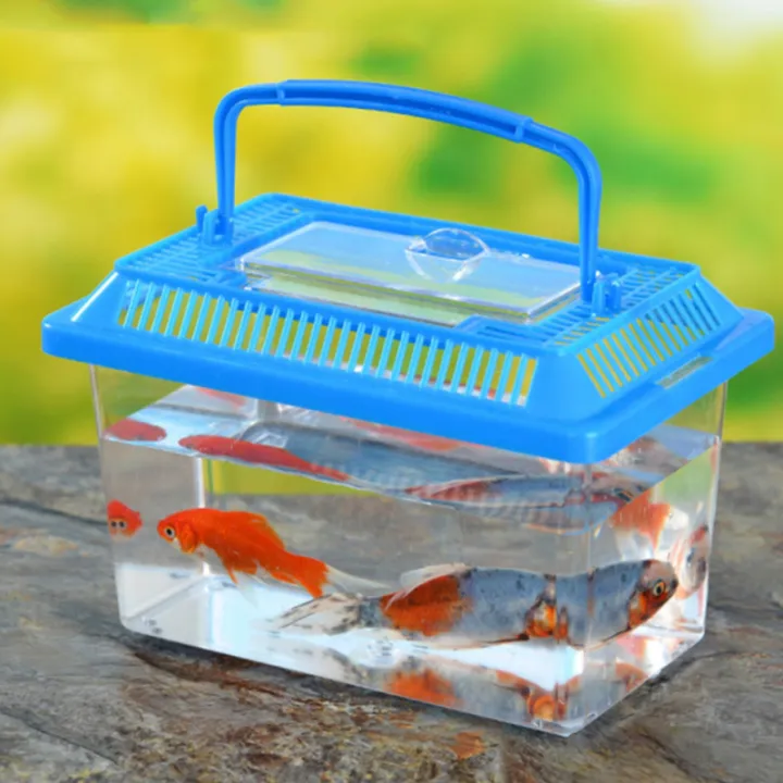 Mini Portable Fish Tank Transparent Aquarium Pet Box Turtle Tank ...