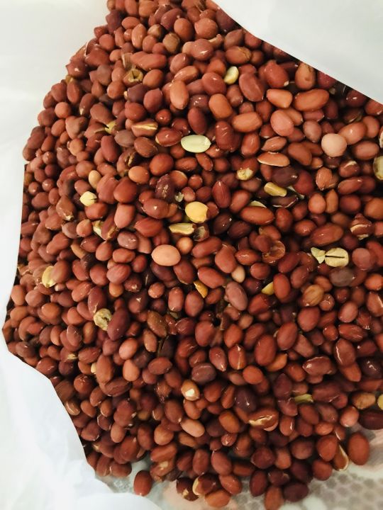 Fresh Roasted Rata Kaju Bite Snack - 500g | Daraz.lk