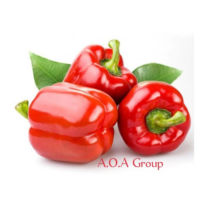 F1 Hybrid Red Capsicum ( Red Shimla Mirch) / Red Sweet Pepper 10 Seeds ...