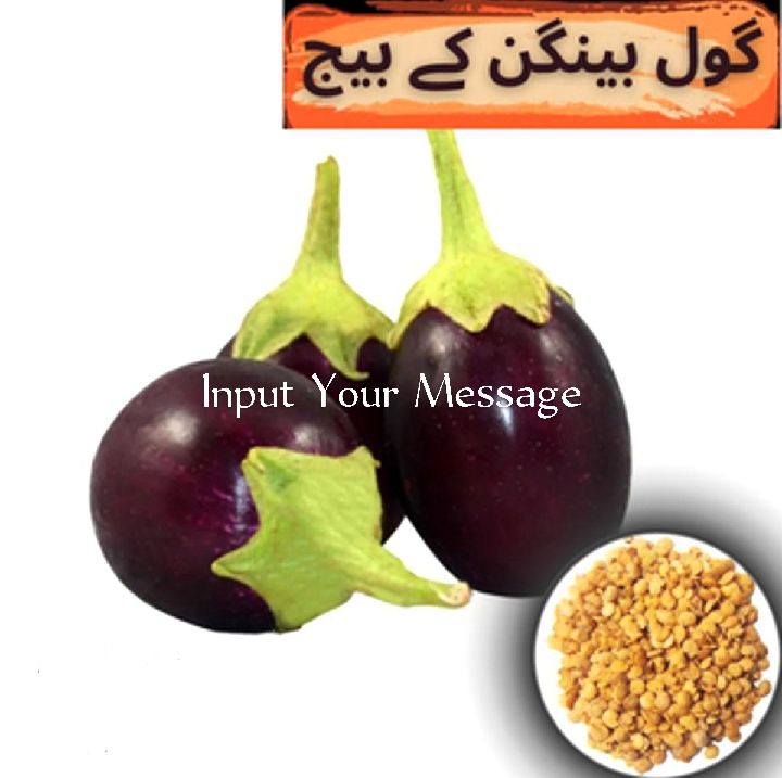 Brinjal(round) seeds gol baingan k beej (گول بینگن کے بیج)Desi/Best ...