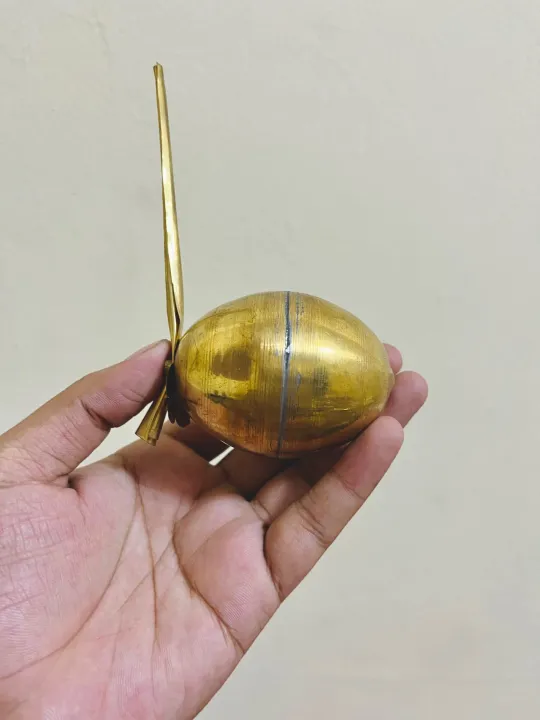 Pitoler small dab for puja - 25 gram | Daraz.com.bd