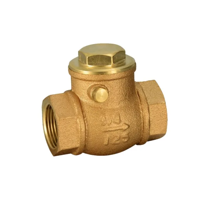 Non Return Valve 3/4 | Daraz.pk