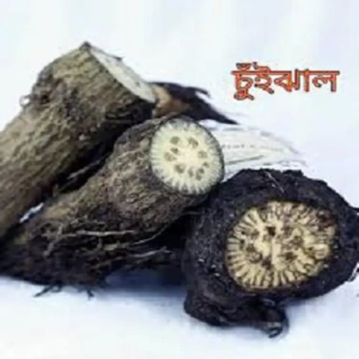 Chui Jhal (Middle Part) Khulna Chuijhal 1kg | Daraz.com.bd
