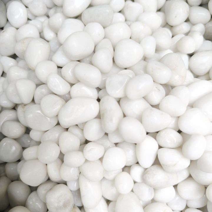 1 Kg Small Size Glossy White Stone Pebbles For Fish Aquarium Tank ...