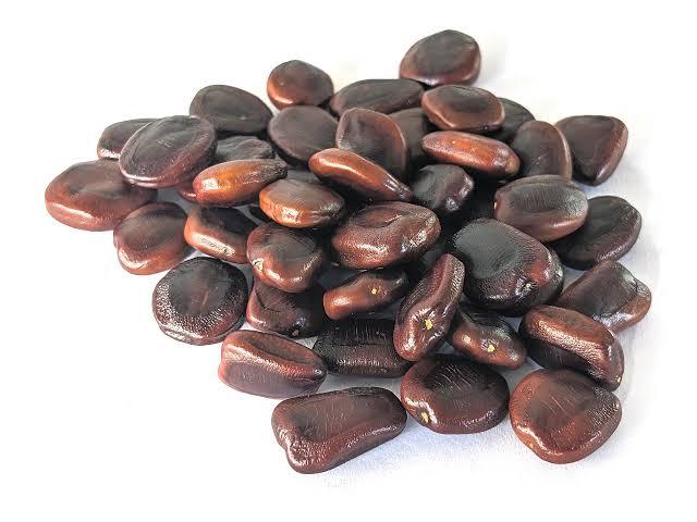 Tamarind Seeds | Tamar Hindi | Qarse Kamar | تمر ھندی | wt 500 gm ...