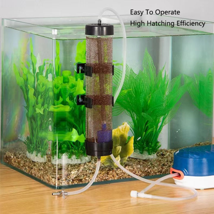 1Set Aquarium Brine Shrimp Incubator Baby Fish Feed Fairy Egg Artemia ...