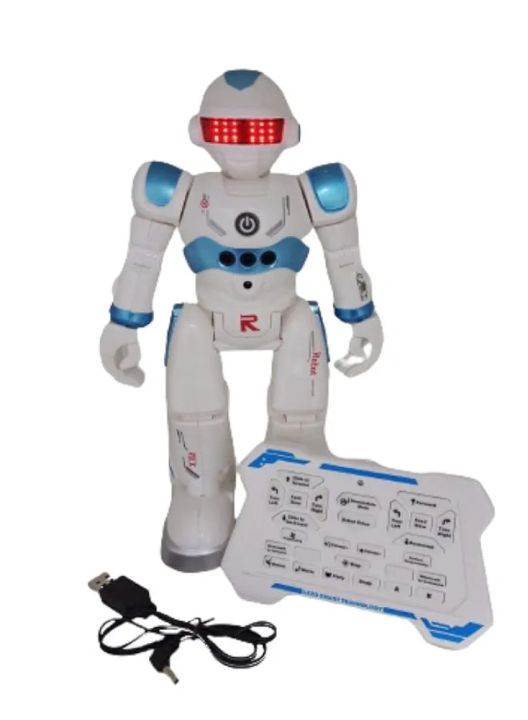 Gesture control programming robot | Daraz.pk
