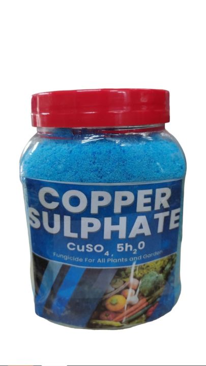Copper Sulphate (500Gm)(Neela Tuhtah) Fertilizer fungicide For All ...