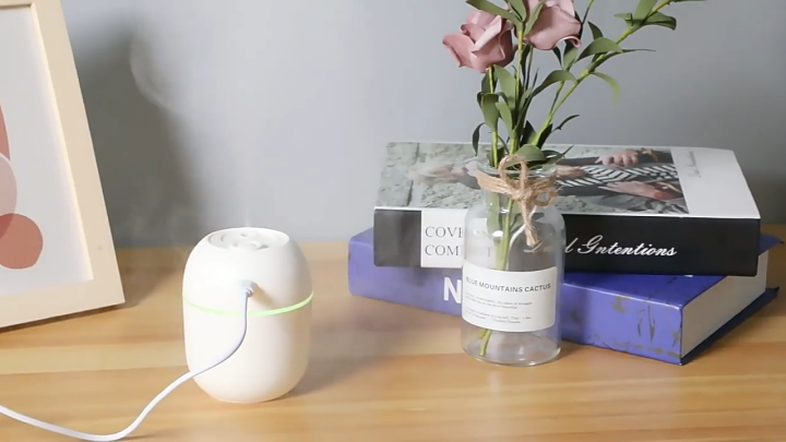 【Fast Delivery 1-4 day】Mini 220ML Air Humidifier, USB Essential Oil ...