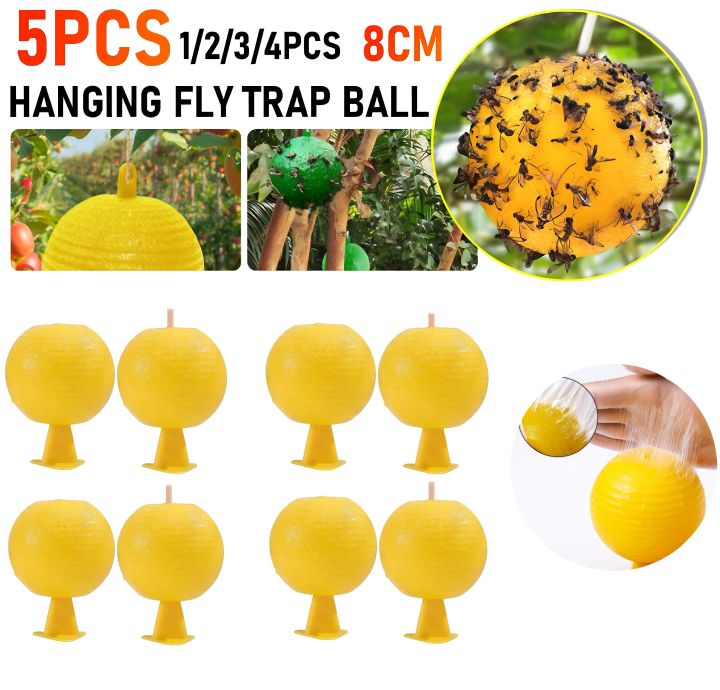 Multifunctional Fruit Fly Trap Citrus Color Sticky Flying Insect Trap ...